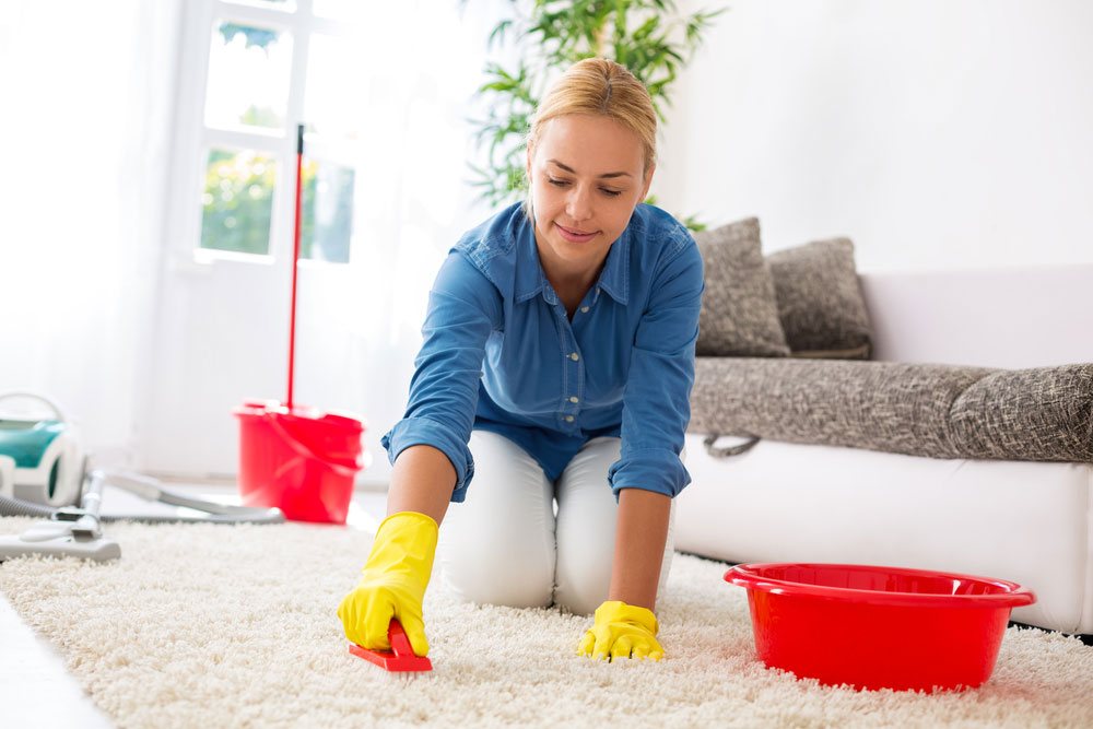 Carpet Cleaning – Divine Cleaning Services
